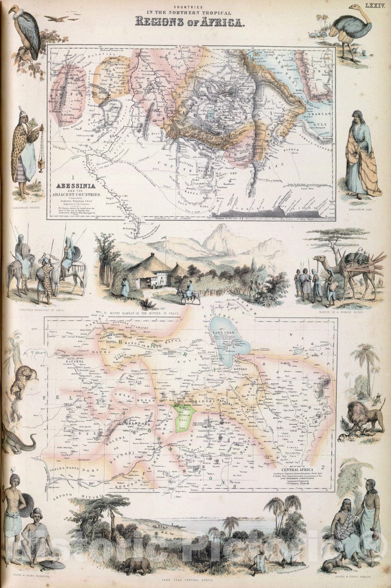 Historic Map : 1872 Countries In The Northern Tropical Regions of Afri ...