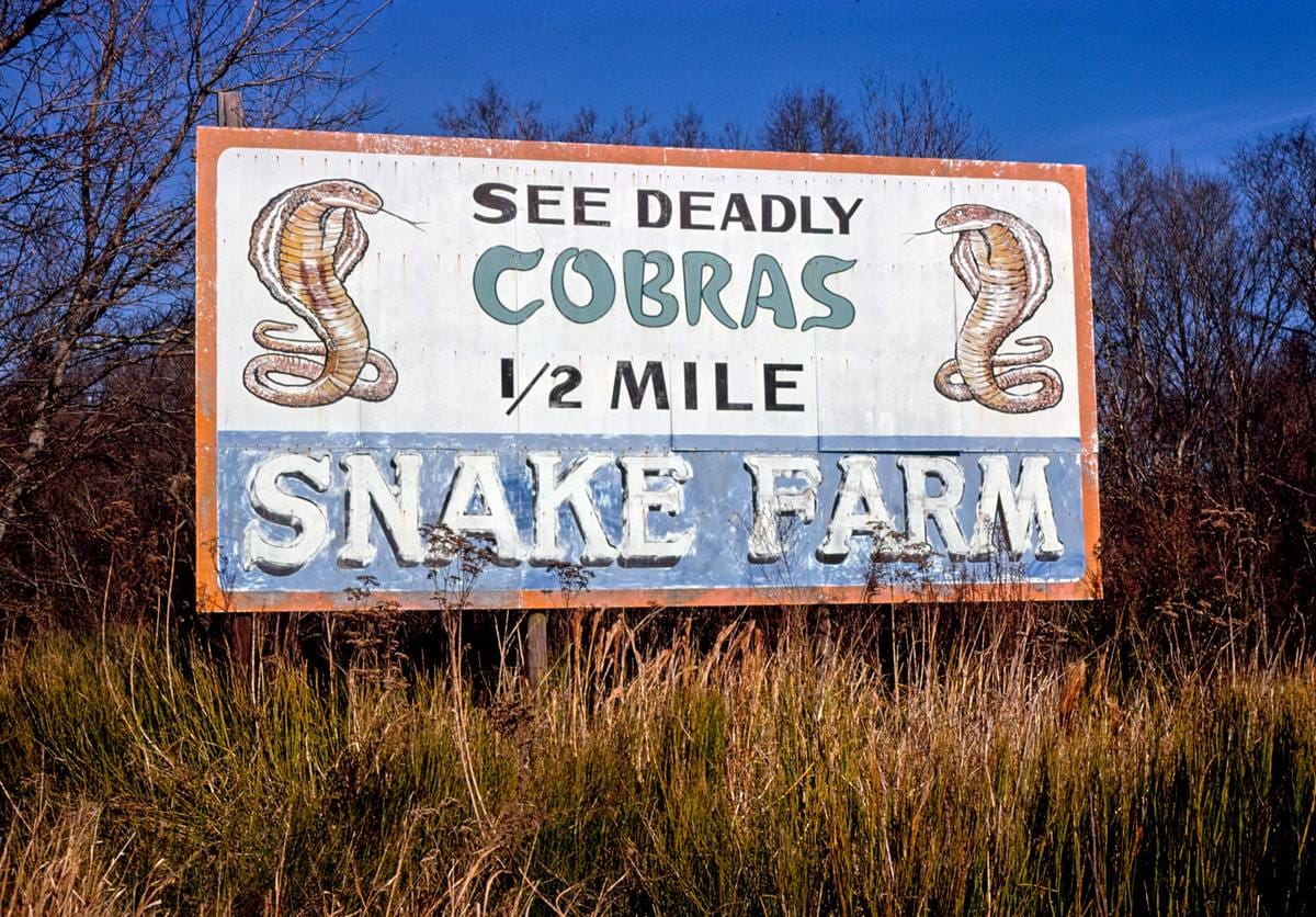 Historic Photo : 1979 Snake Farm billboard, Rt. 61, south of Laplace ...