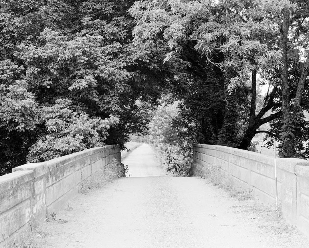 Historic Photo : Illinois River Bridge, Spanning Illinois River at Ben ...