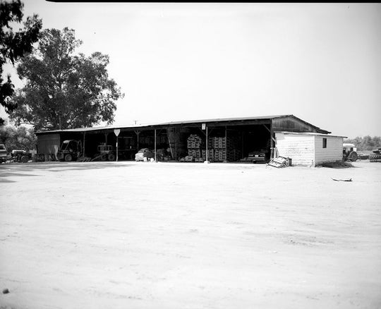Historic Photo : Irvine Ranch Agricultural Headquarters, Carillo Tenan ...