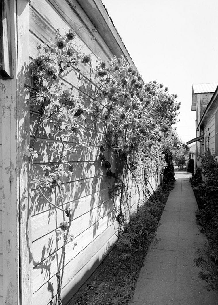 Historic Photo : Town of Locke, Warehouse, 13923 Main Street, Locke, S ...