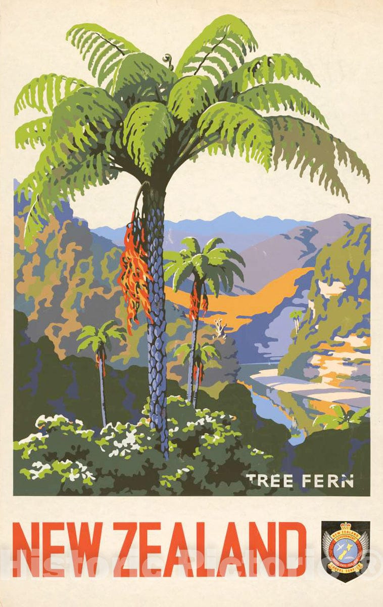 Vintage Poster - New Zealand Tree Fern., Historic Wall Art - Historic ...