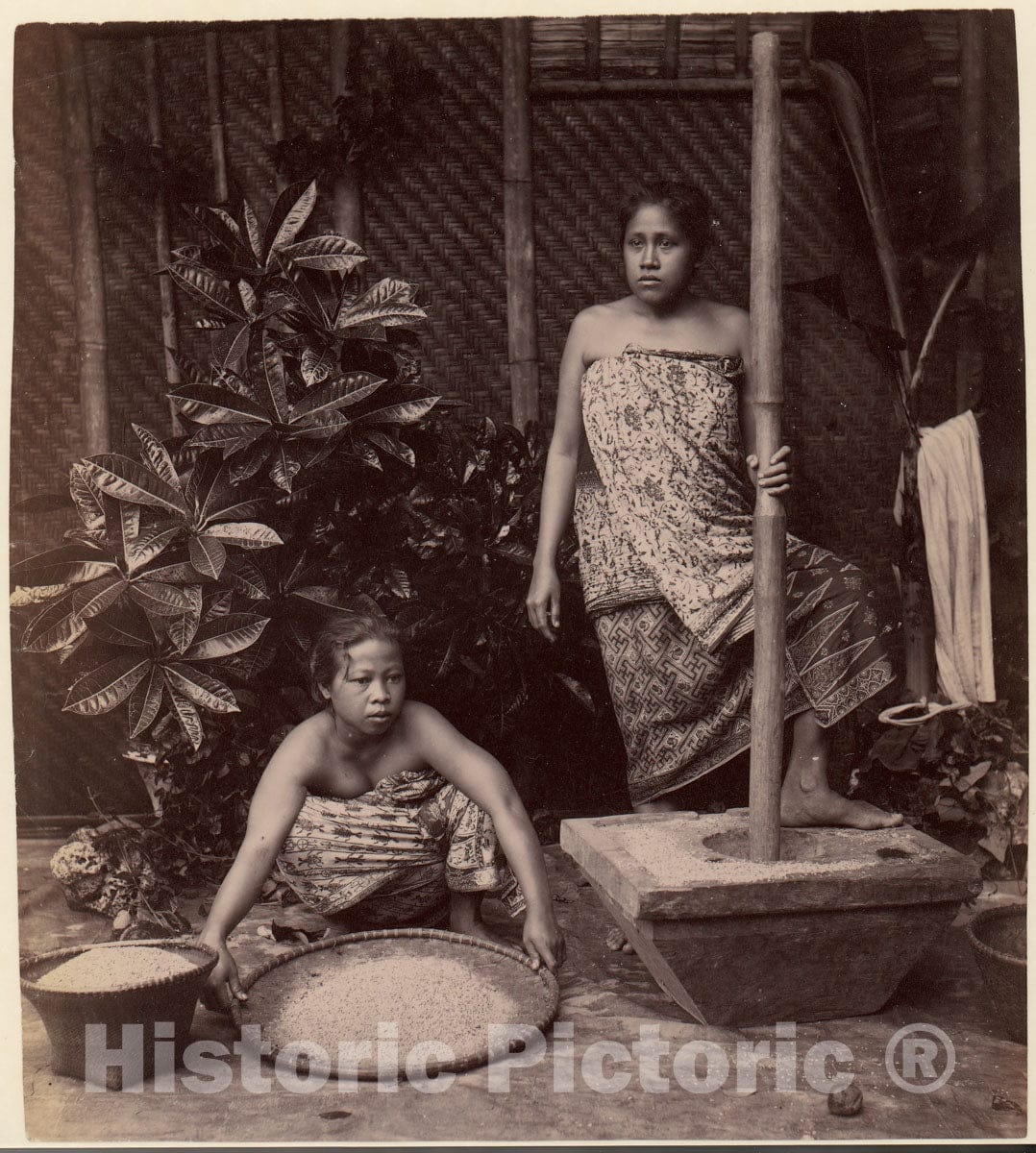 Photo Print : Javanese Women Preparing Rice – Historic Pictoric
