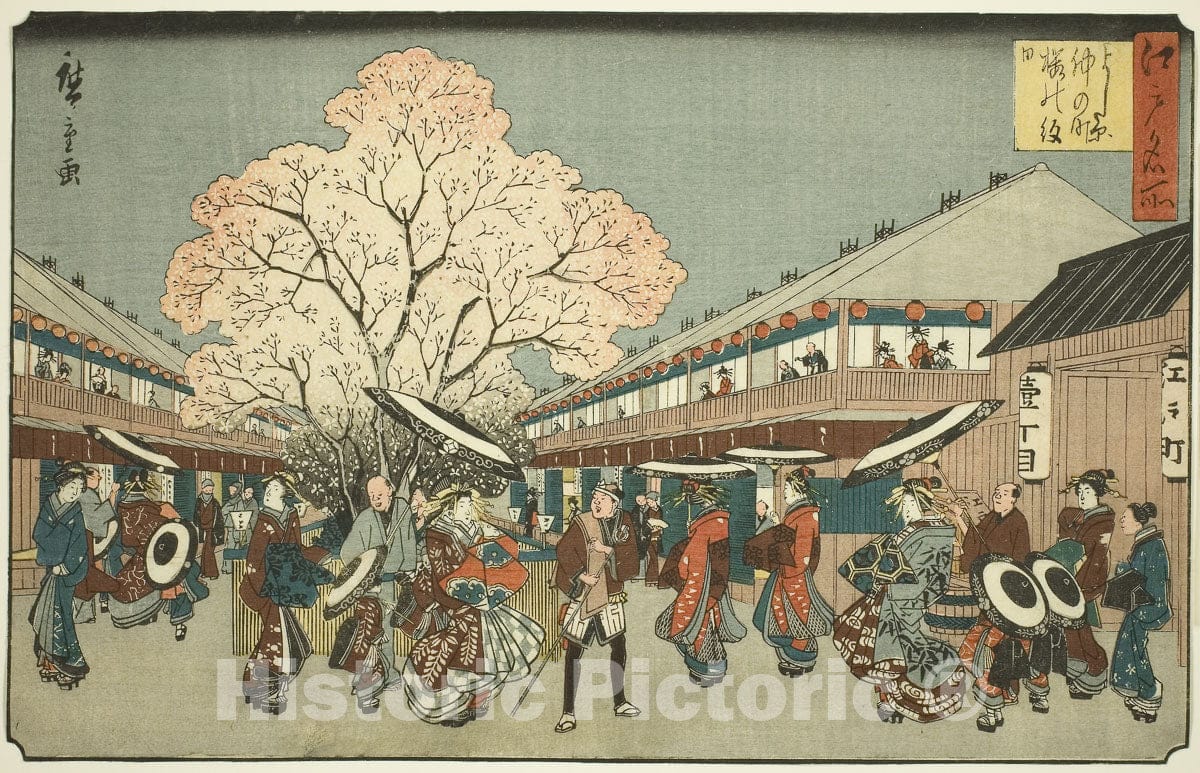 Art Print : Cherry Blossom Day on the Nakanocho of the Yoshiwara (Yosh ...