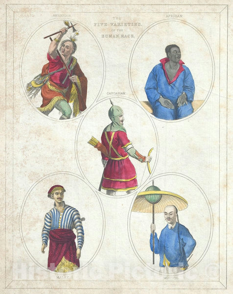 Art Print : Chart Illustrating The Five Varieties of The Human Race, B ...