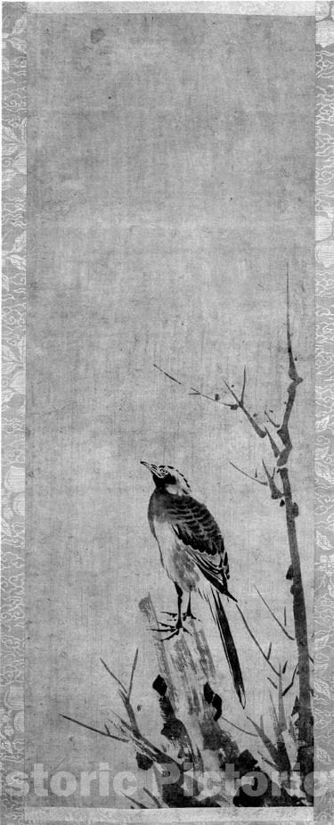 Kenkō Shokei - Bird v.1 – Historic Pictoric