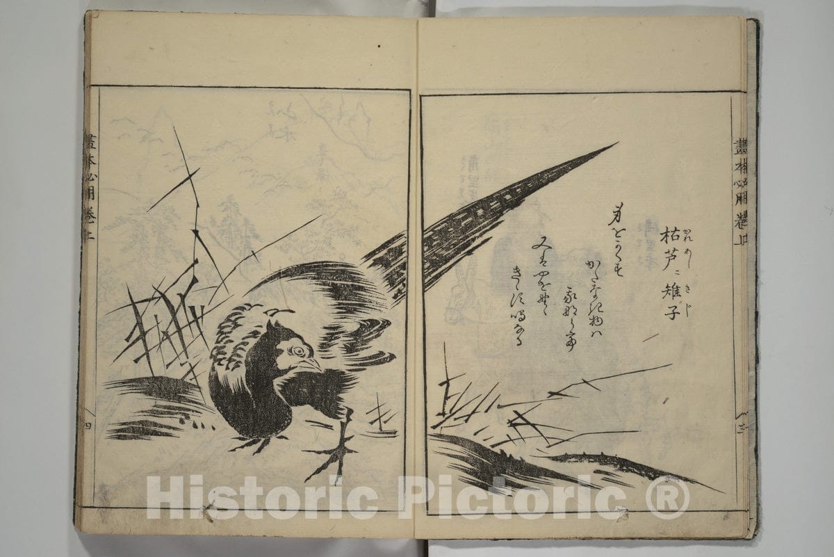Sadatoshi - A Picture Book on The Study of Paintings (Ehon hitsuryō ...
