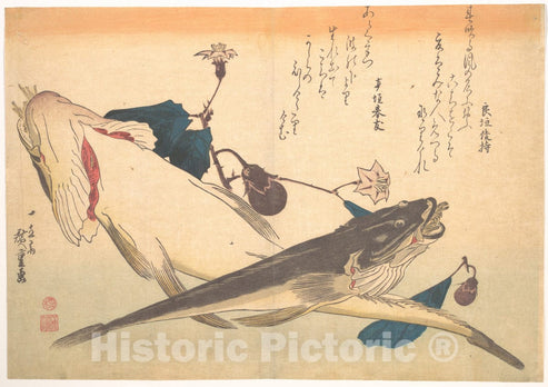 Utagawa Hiroshige - Kochi Fish with Eggplant, from The Series Uozukushi ...