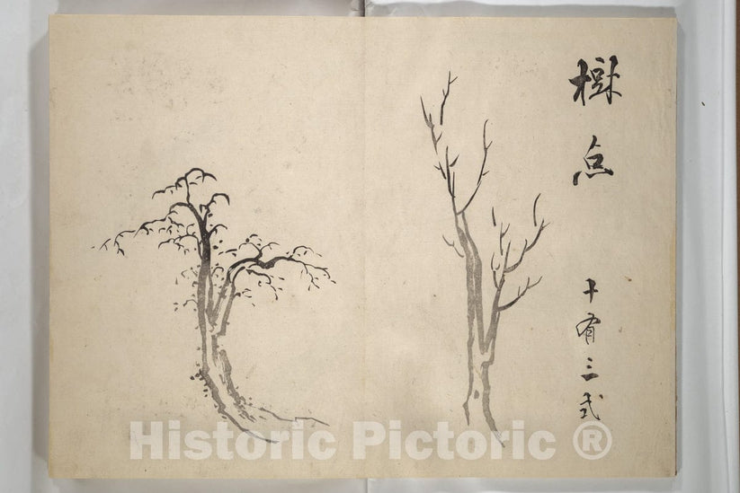 Art Print : IKE Taiga - Taigadō (Taiga Hall at Sōrinji Temple) Picture ...