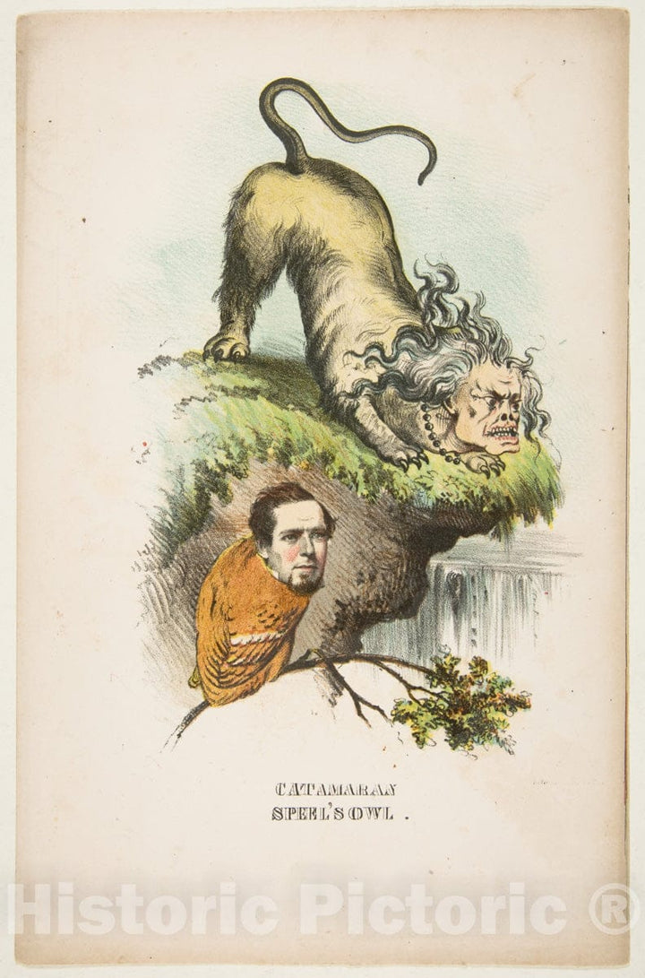 Henry Louis Stephens - Catamaran and Speel's Owl (Charlotte Chushman ...