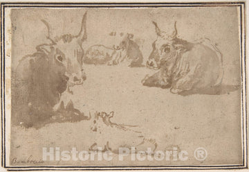 Art Print : Italian, Roman-Bolognese, 17th Century - Studies of Cattle ...