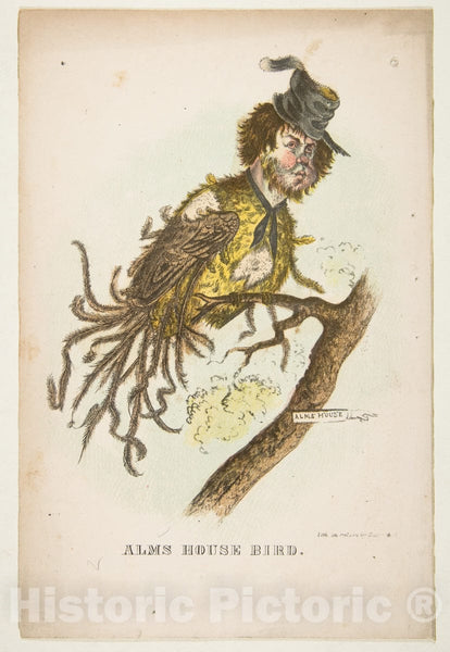 Henry Louis Stephens - Alms House Bird, from The Comic Natural History ...