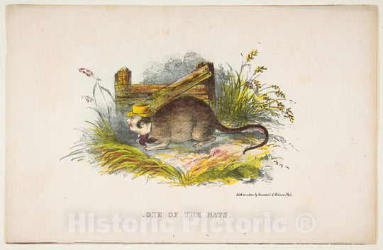 Art Print : Henry Louis Stephens - One of The Rats, from The Comic Nat ...