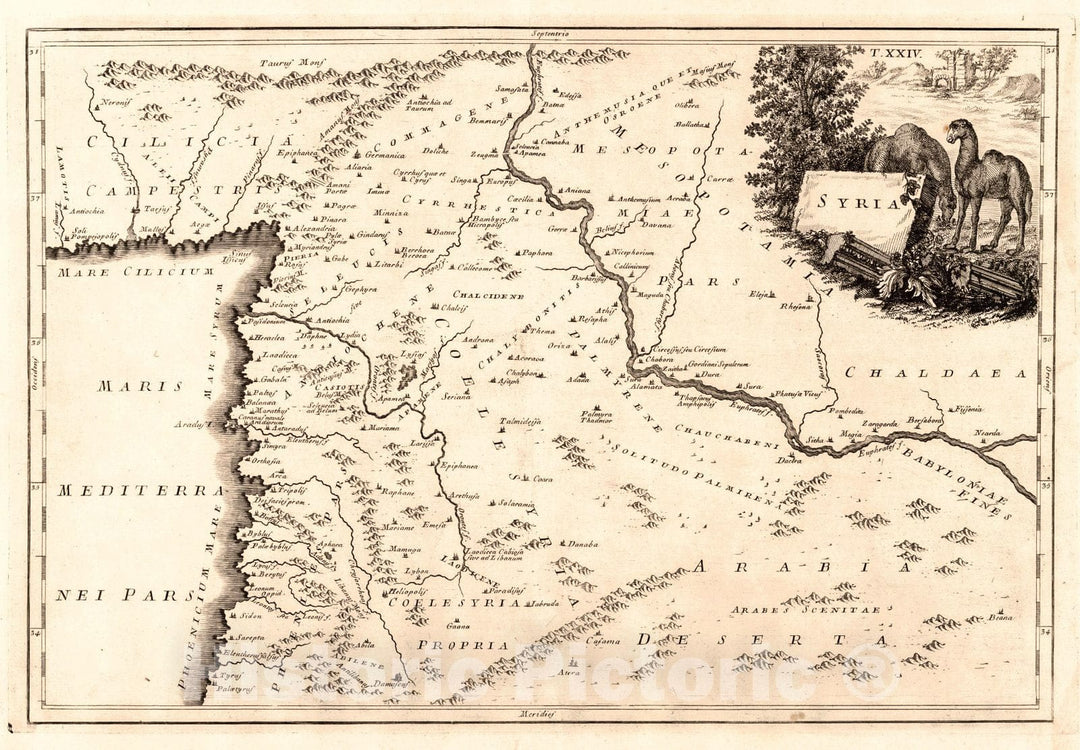 Historic Map : 1774 Syria : Vintage Wall Art – Historic Pictoric