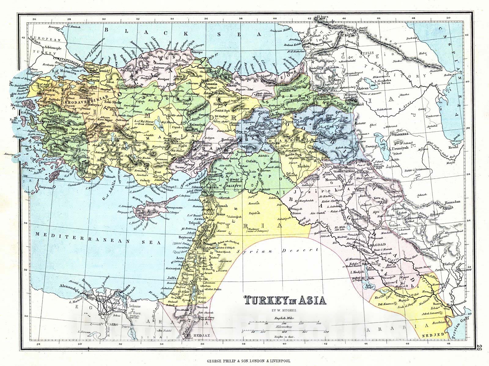 Historic Map : 1880 Turkey in Asia : Vintage Wall Art – Historic Pictoric