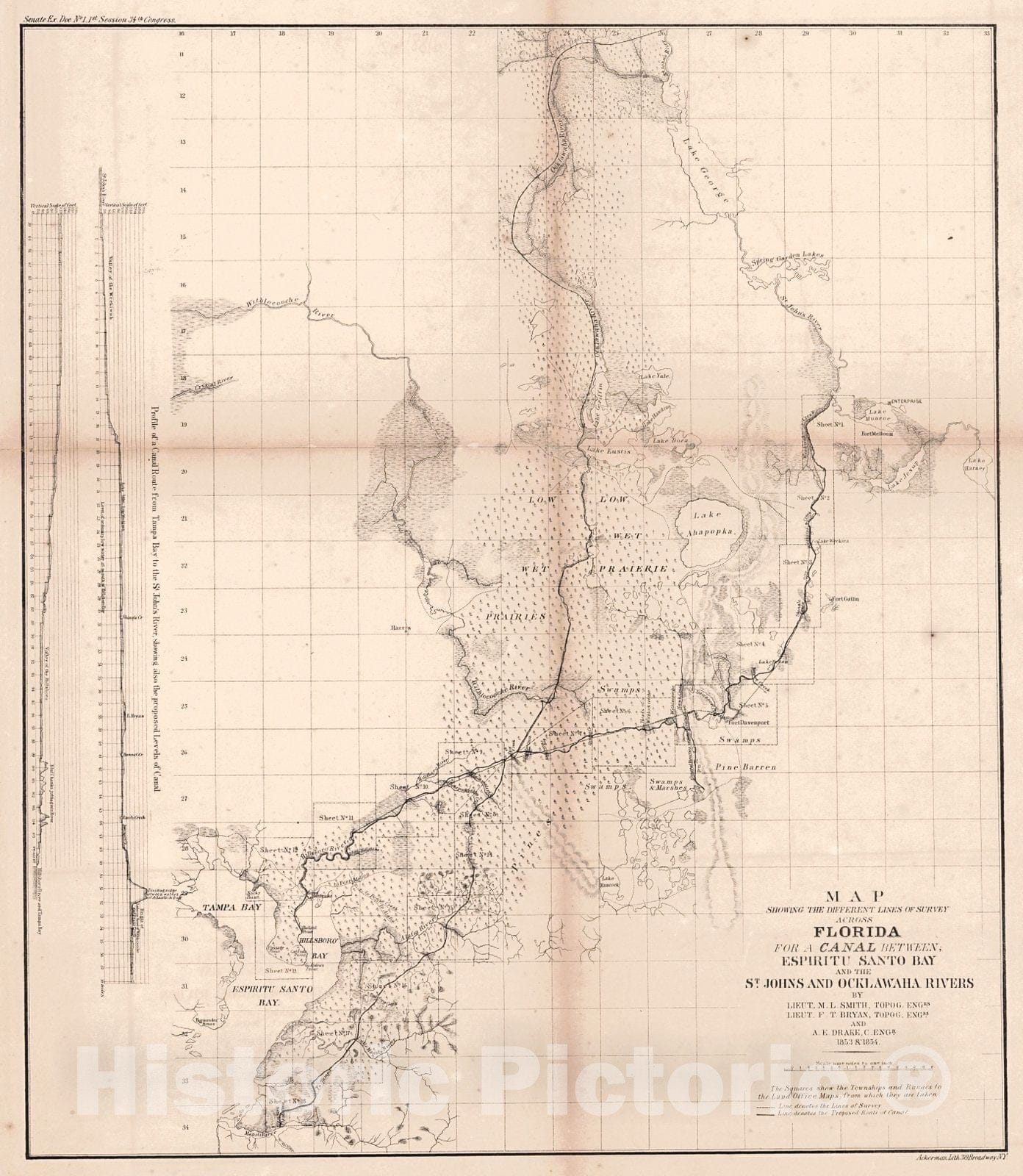 Historic Map : 1855 Map Showing the Different Lines of Survey Across F ...