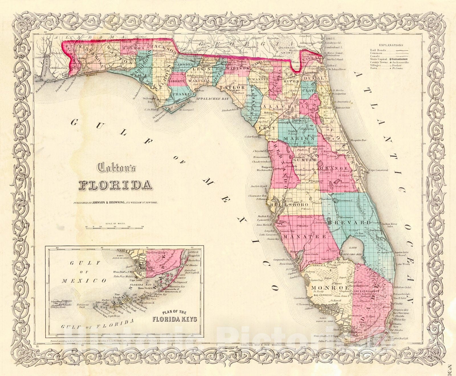 Historic Map : 1860 Colton's Florida : Vintage Wall Art – Historic Pictoric