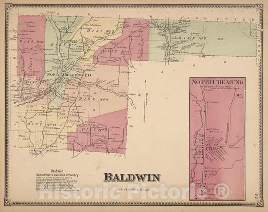 Historic Map - 1869 Baldwin Subscriber'S Business Directory; Baldwin ...