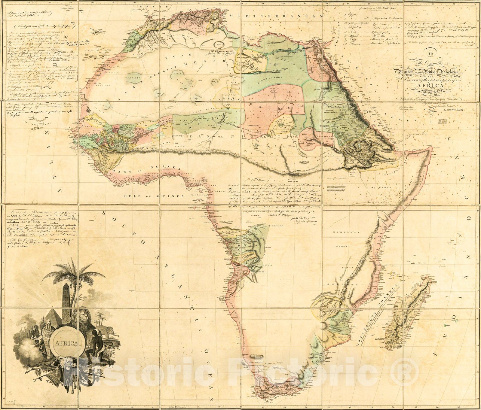 Historic 1802 Map - Africa : to The Committee and Members of The Briti ...