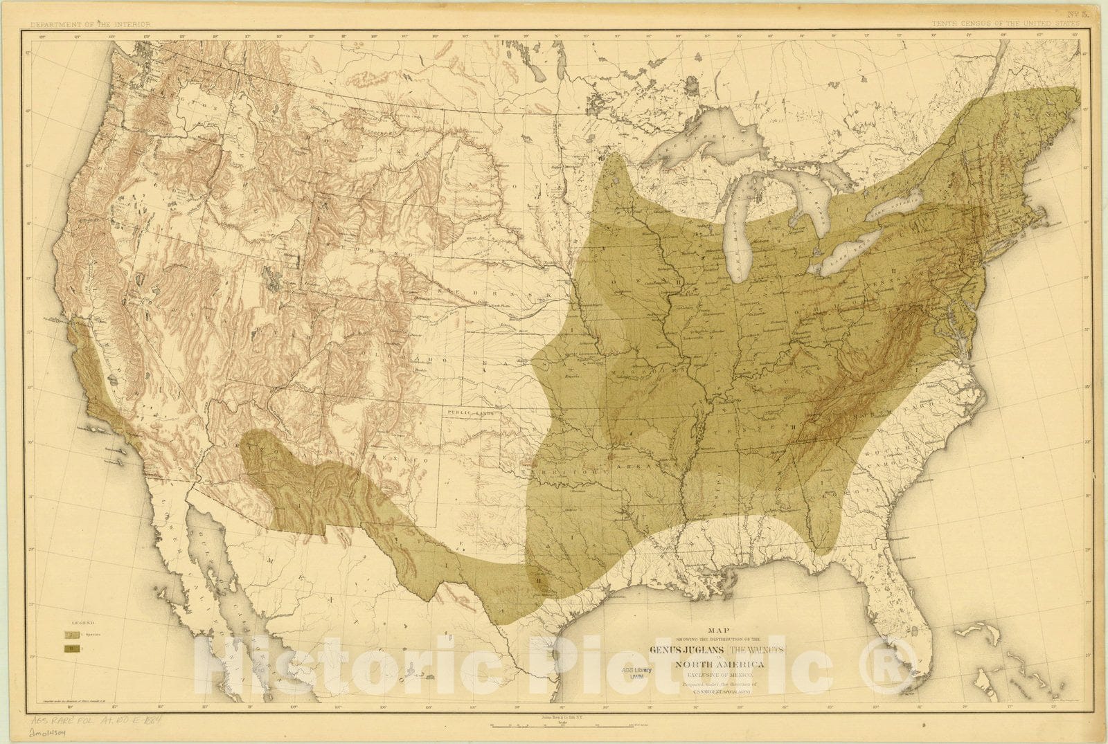 Map : North America Forest Trees 1884 9, Sixteen maps accompanying Rep ...