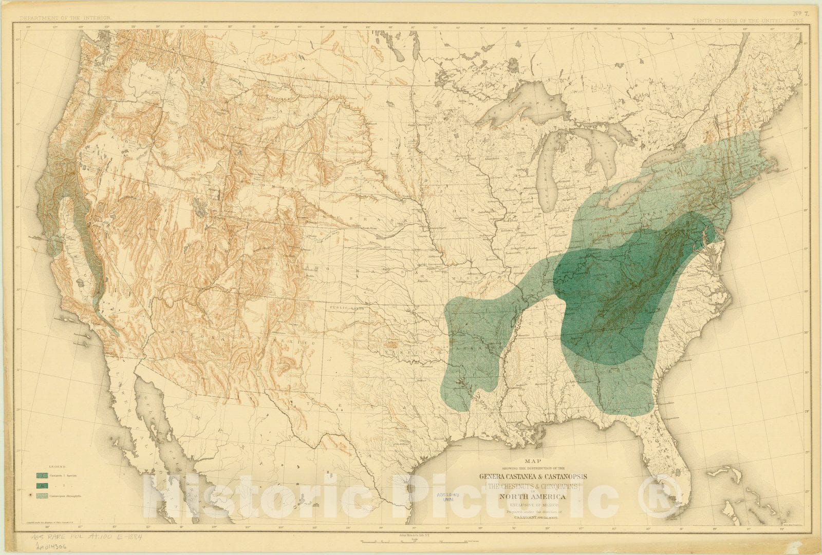 Map : North America Forest Trees 1884 11, Sixteen maps accompanying Re ...