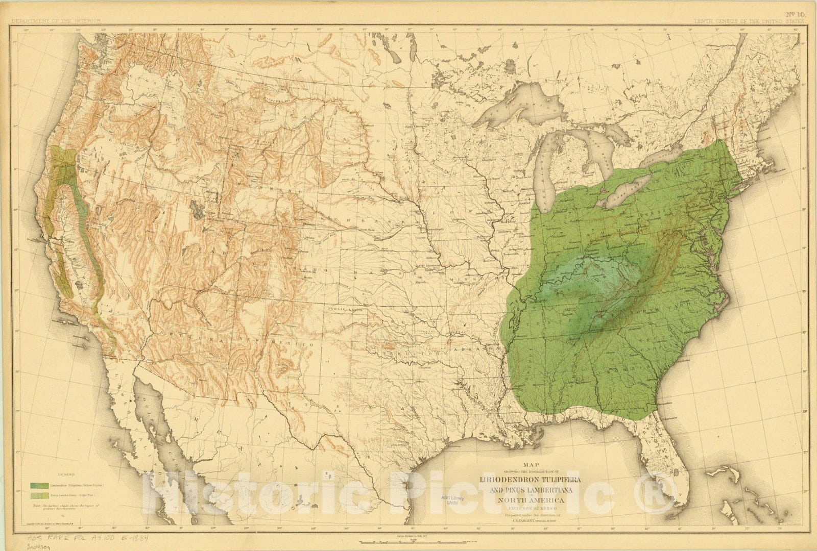 Map : North America Forest Trees 1884 15, Sixteen maps accompanying Re ...