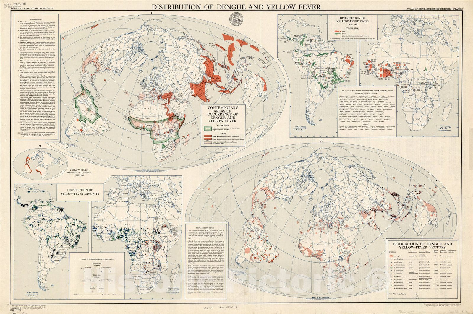 Map : Atlas of Diseases 1954 1, Atlas of diseases, Antique Vintage Rep ...