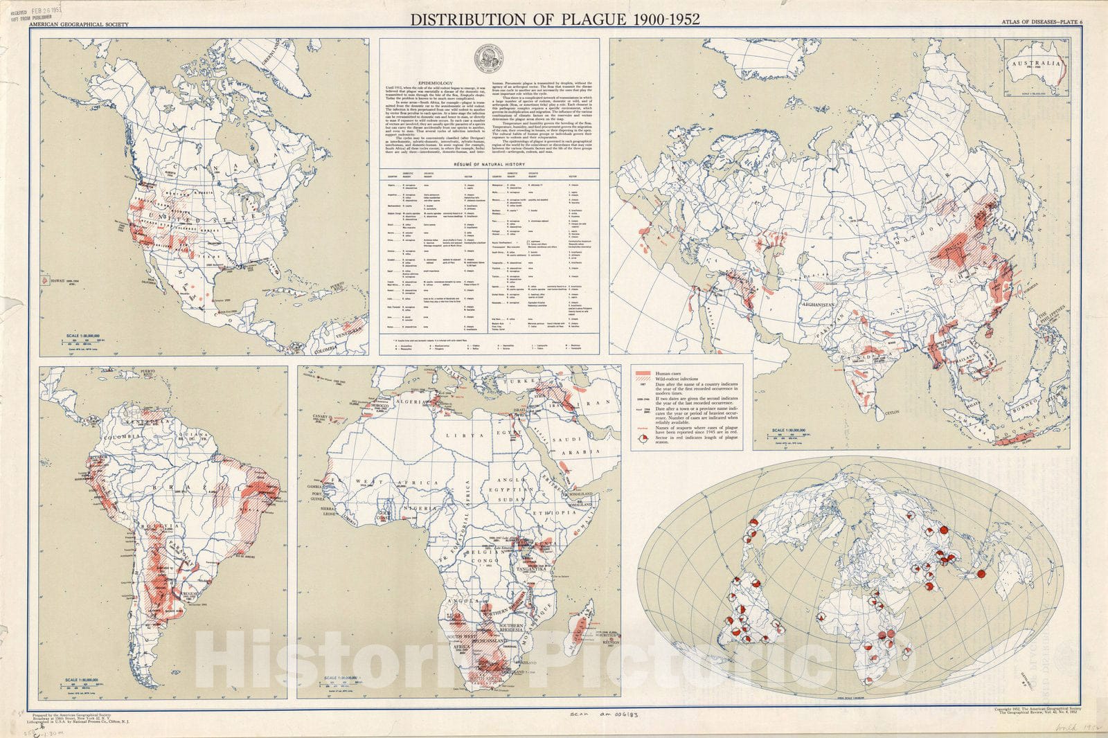 Map : Atlas of Diseases 1954 8, Atlas of diseases, Antique Vintage Rep ...