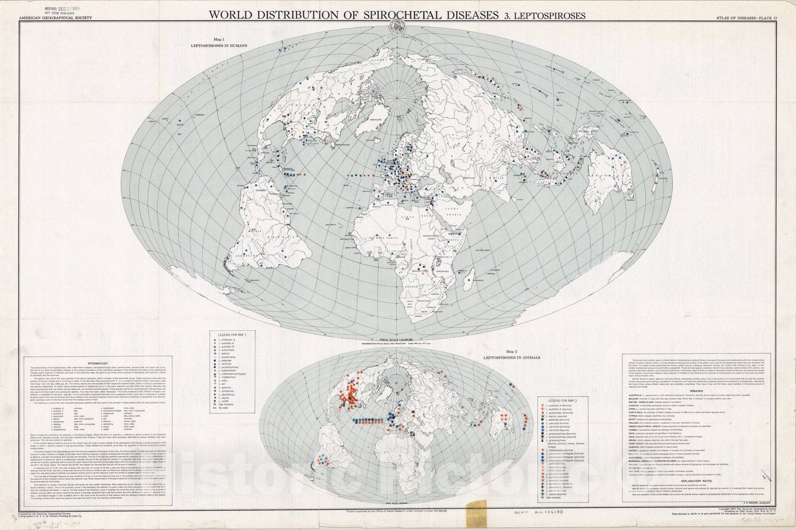 Map : Atlas of Diseases 1954 12, Atlas of diseases, Antique Vintage Re ...