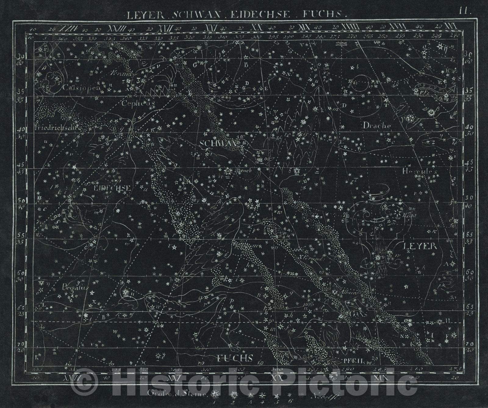 Historic Map : Leyer. Schwan. Eidechse. Fuchs. 11., 1799 , Vintage Wal ...