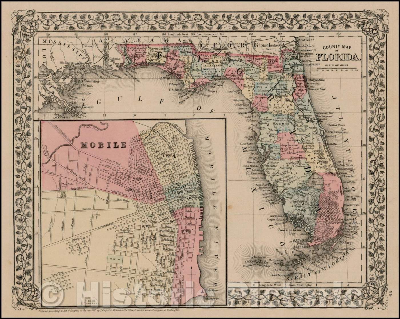 Historic Map - County Map of Florida, 1881, Samuel Augustus Mitchell J ...