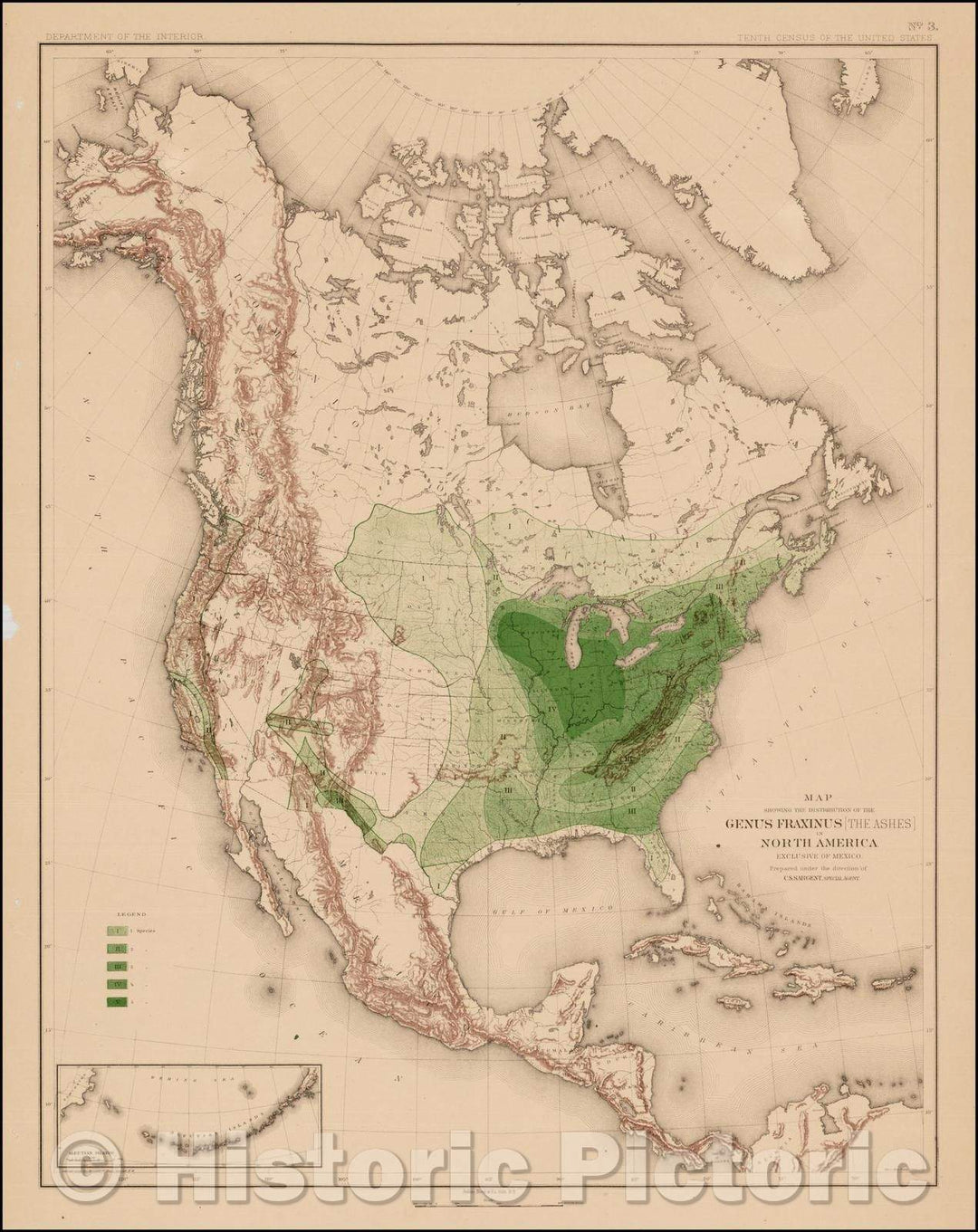 Historic Map - Map Showing The Distribution Of The Genus Fraxinus (The ...
