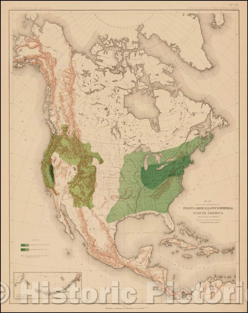 Historic Map - Map Showing The Distribution Of The Genus Fraxinus Amer ...