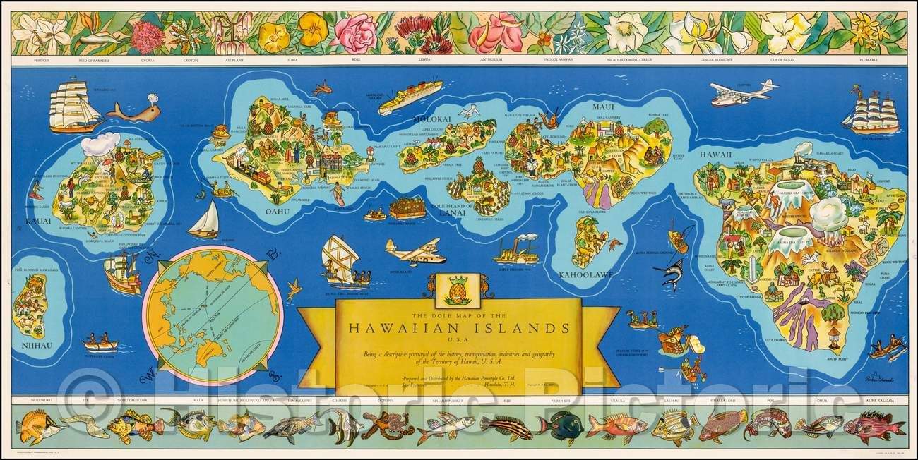 Historic Map - The Dole Map of the Hawaiian Islands U.S.A. Being a des ...