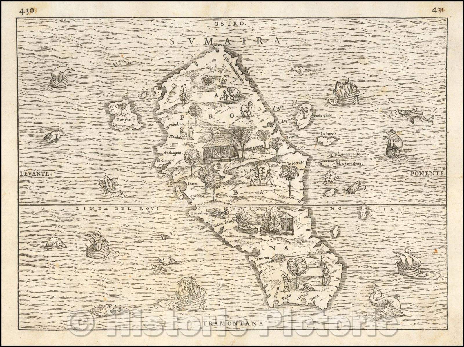 Historic Map - Sumatra/Taprobana, 1556, Giovanni Battista Ramusio - Vi ...