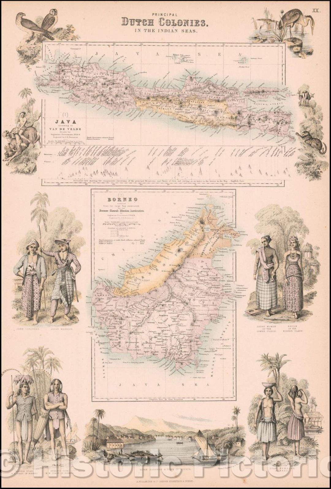 Historic Map - Principal Dutch Colonies in the Indian Seas (Java and B ...