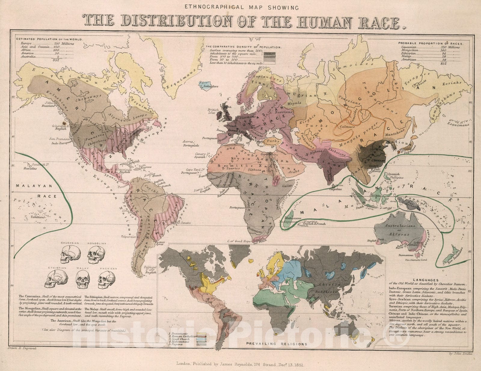 Historic Map : The distribution of the human race, 1850, Vintage Wall ...