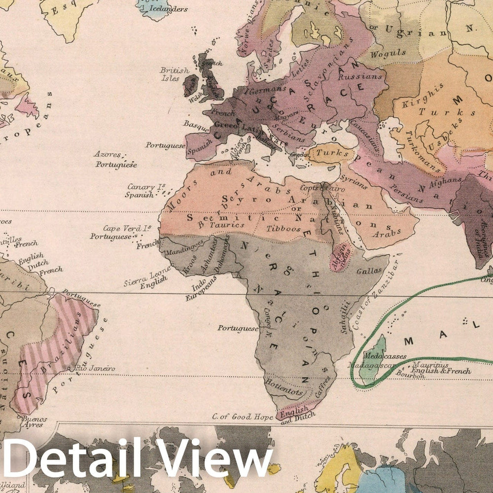 Historic Map : The distribution of the human race, 1850, Vintage Wall ...