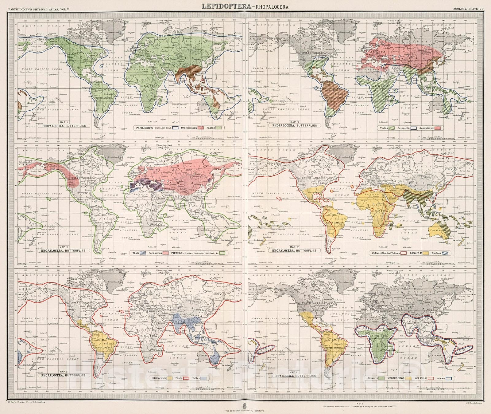 Historic Map : Plate 29. Lepidoptera - Rhopalocera (Butterflies)., 191 ...