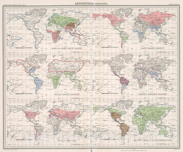 Historic Map : Plate 31. Lepidoptera - Rhopalocera (Butterflies)., 191 ...