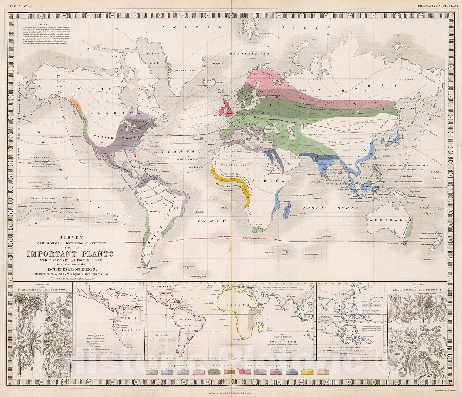 Historic Map : Geographical Distribution and Cultivation of the Most I ...