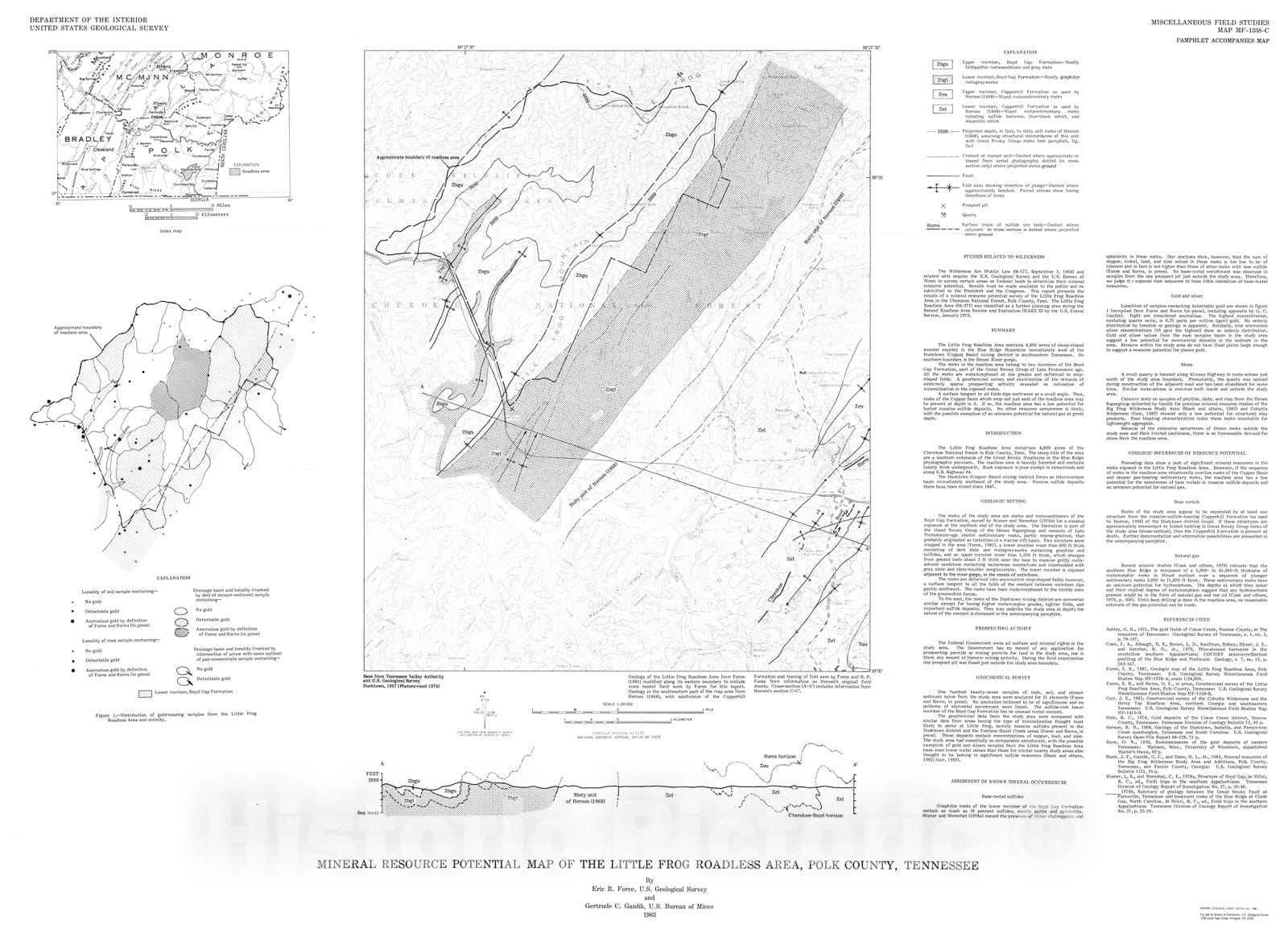 Map : Mineral resources potential map of the Little Frog Roadless Area ...