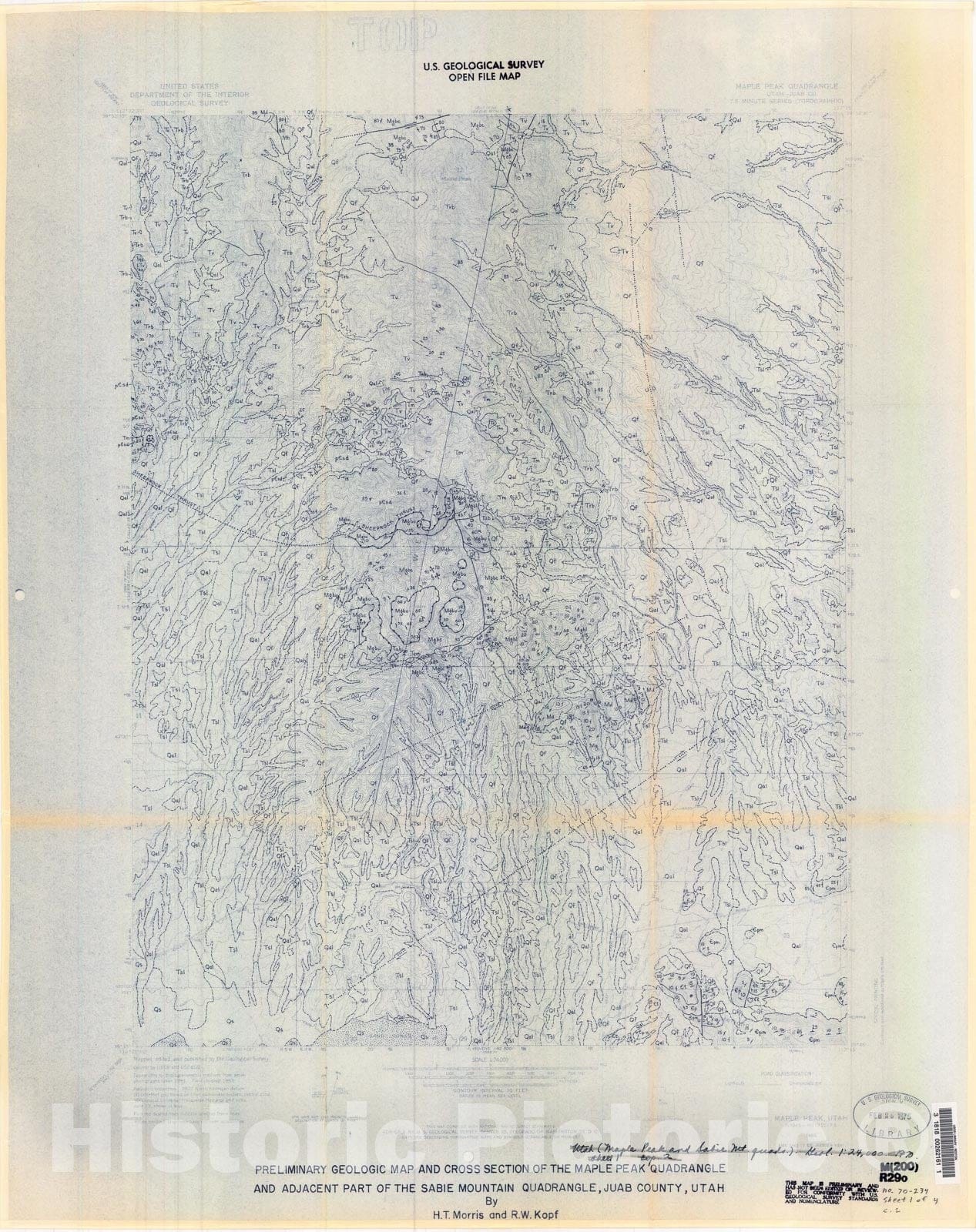 Map : Preliminary geologic map and cross section of the Maple Peak qua ...