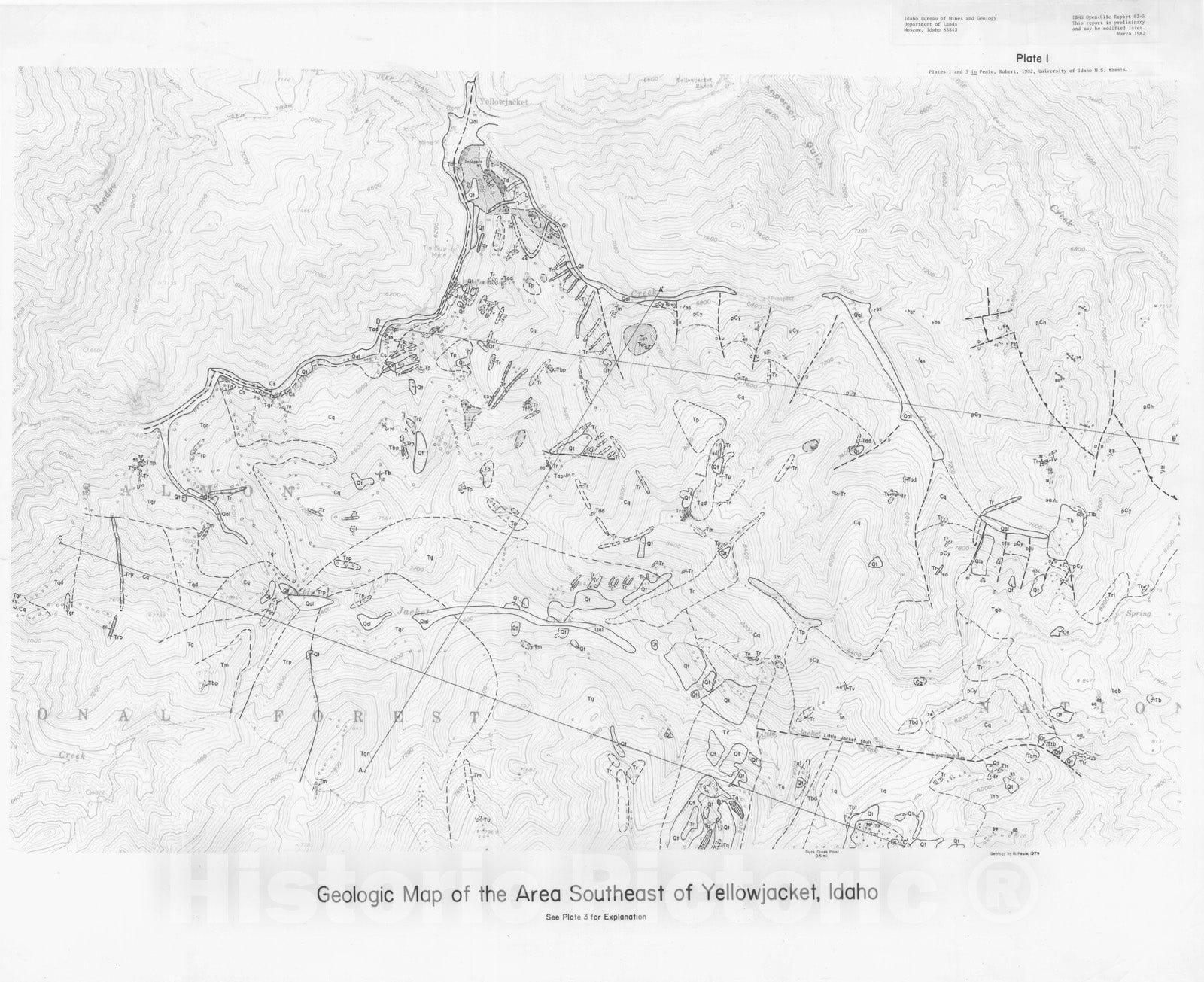 Map : Geologic map of the area southeast of Yellowjacket, Idaho, 1982 ...