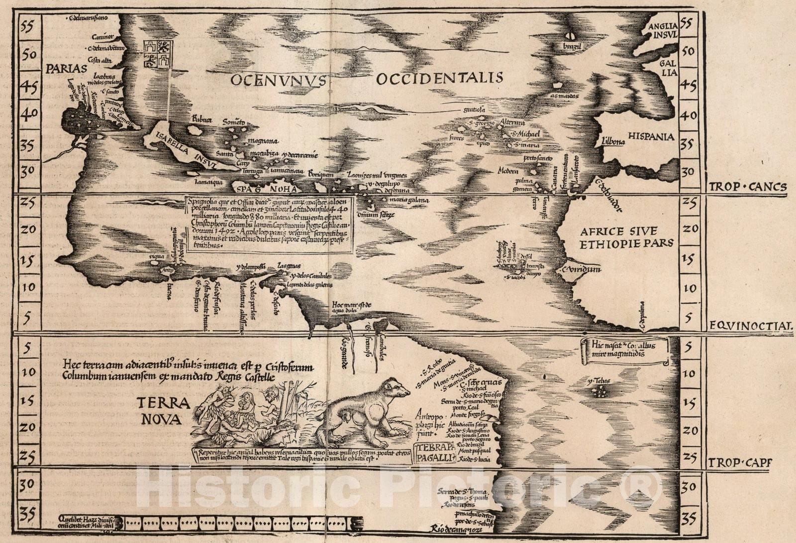 Historic Map : Terra nova, 1541, Vintage Wall Art – Historic Pictoric