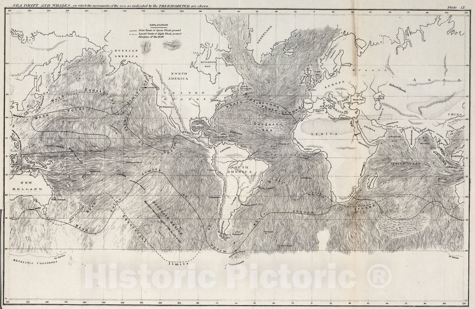 Historic Map : IX. Sea drift and whales, 1857, Vintage Wall Art ...