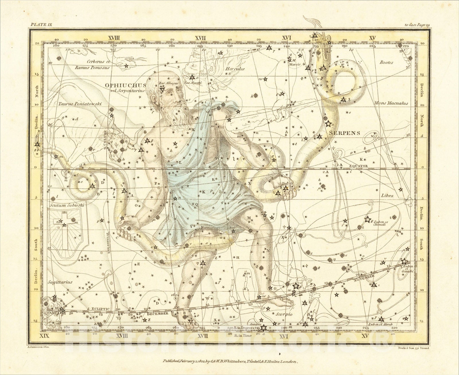 Historic Map : Ophiuchus and Serpent (and Scutum Sobieski), 1822, Alex ...