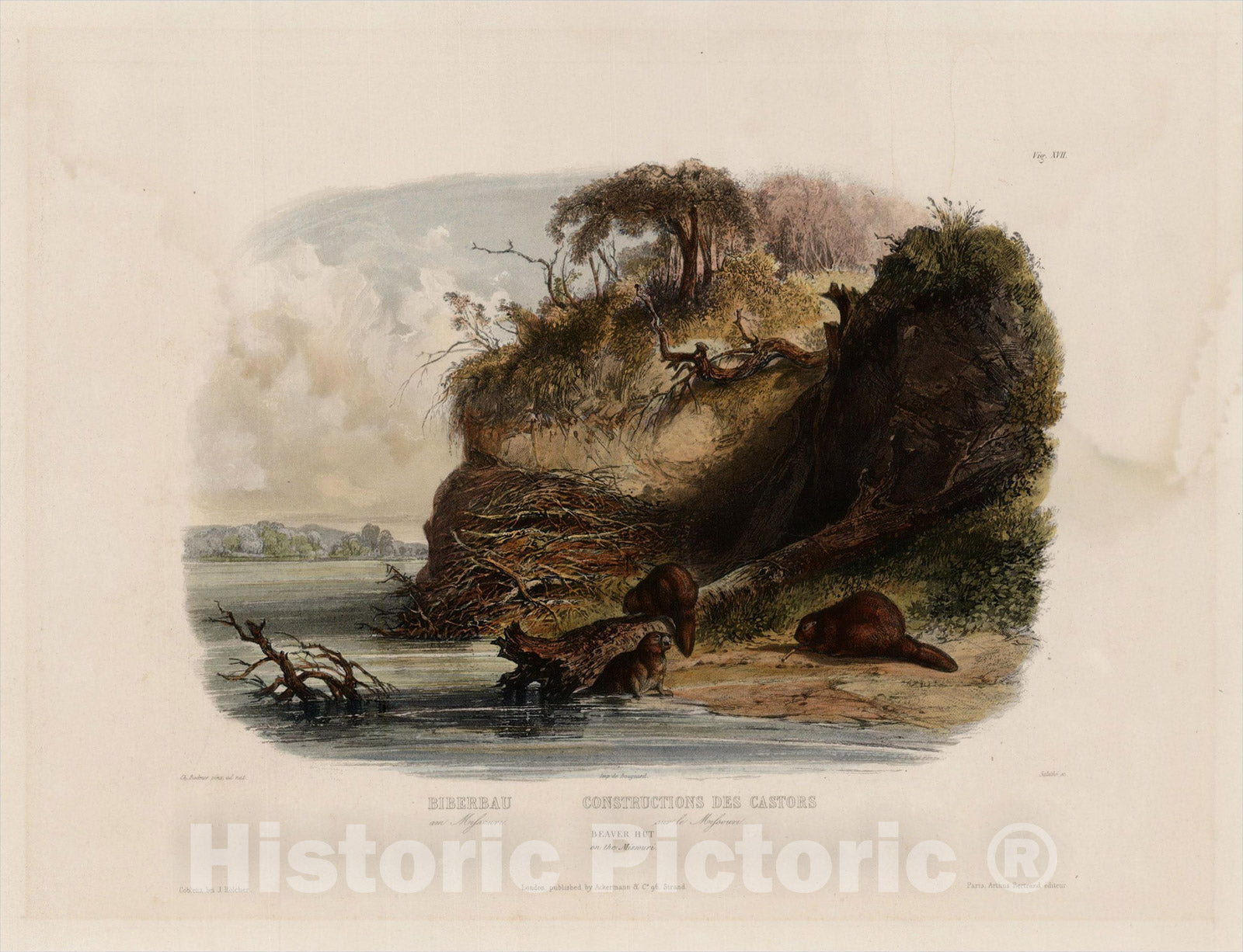 Historic Map : Beaver Hut on the Missouri, 1837, Karl Bodmer, Vintage ...