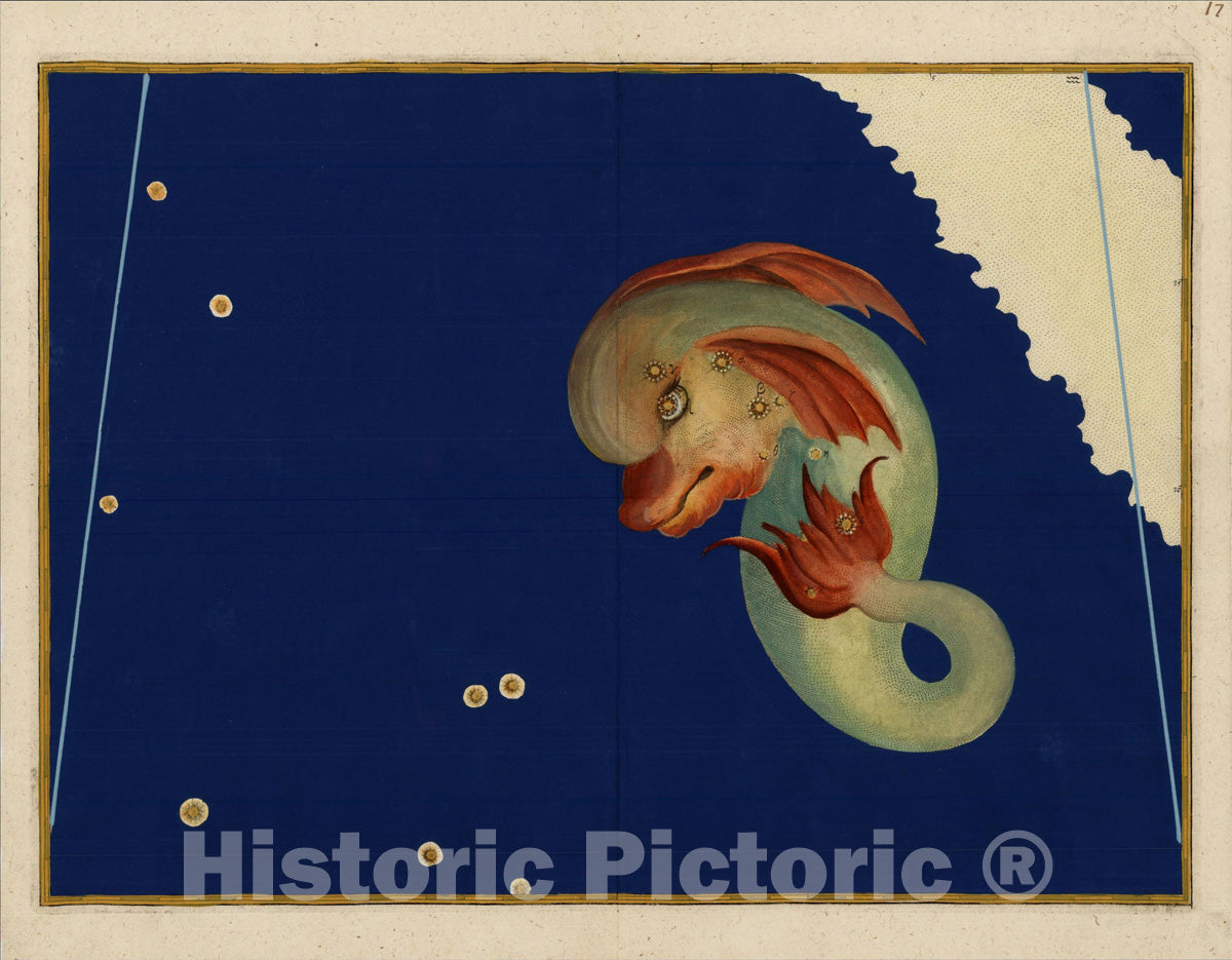 Historic Map : Uranometria, Celestial Atlas, Delphinus, 1603, Vintage ...