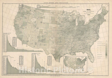 Historic Map : The United States Illustrating Wool Production, Scribne ...